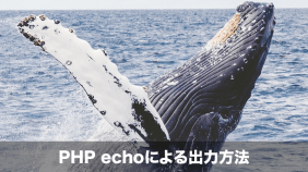 【PHP入門者向け】echoによる出力方法まとめ