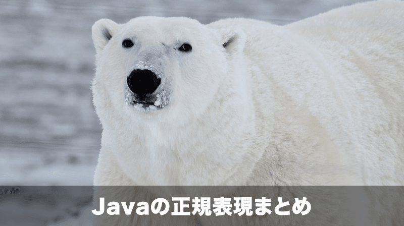  5 Java 