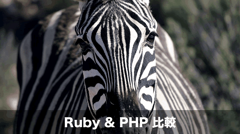【超初心者向け】大まかにRubyとPHPを比較してみる