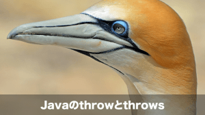 【Java初心者向け】throwとthrowsの違いとその使い方