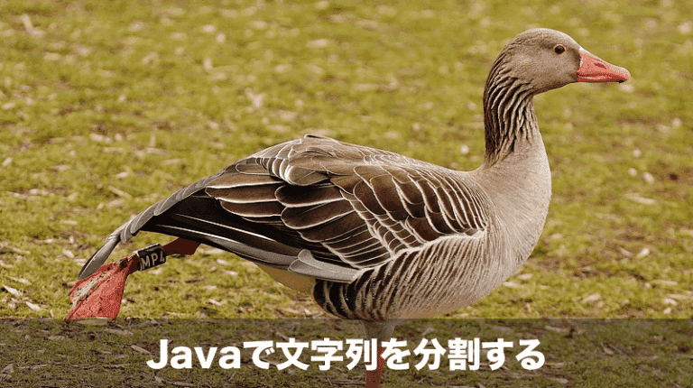 2分で理解!javaの文字列を分割するsplitメソッド【stringクラス】
