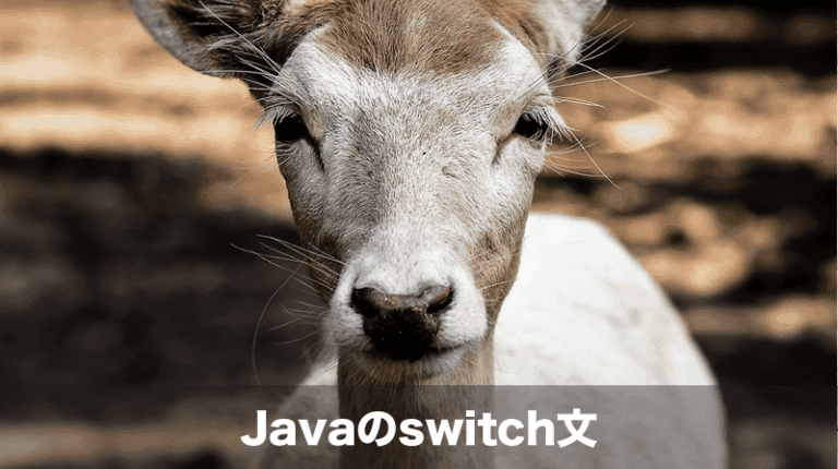 条件を分岐するjavaのswitch文の使い方【初心者向け！】