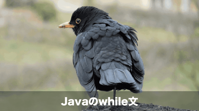 3分で理解する！javaのwhile文の使い方