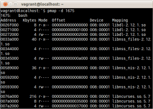 pmapコマンドについて詳しくまとめました 【Linuxコマンド集】