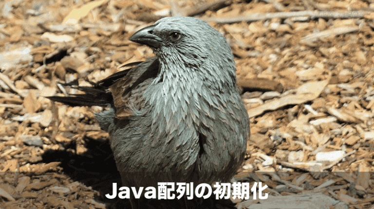 2分でわかる！java配列の初期化とは？と初期化方法