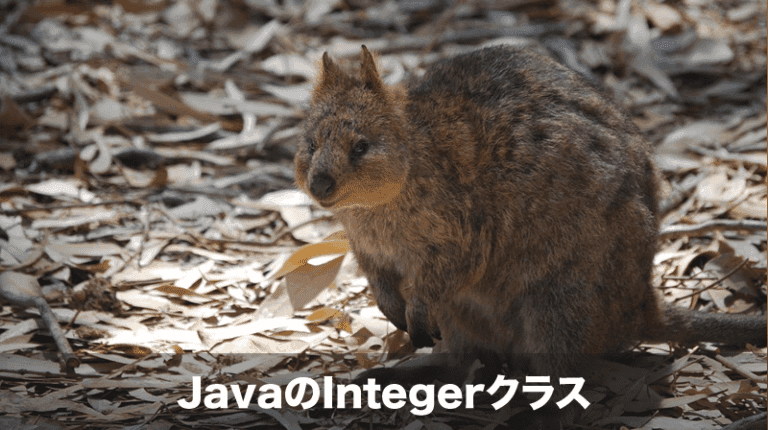Javaのintegerクラスについてのまとめ