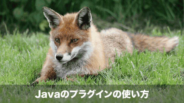 【初心者向けに簡単に】Javaのプラグインの使い方