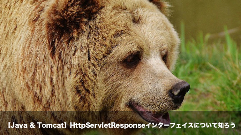 【Java & Tomcat】HttpServletResponseインターフェイスについて知ろう